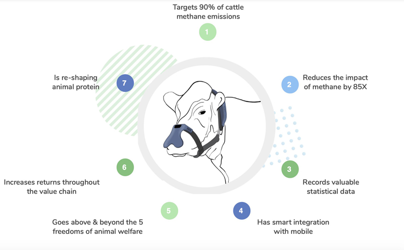 F Methane | The Comings Foundation